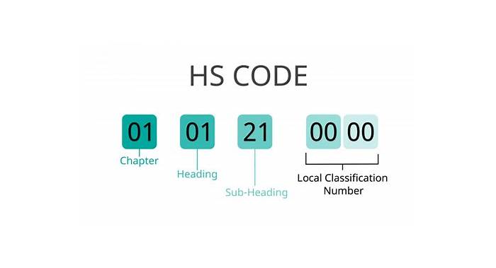Mã HS Code là gì? Tra cứu như thế nào? – Hướng dẫn cơ bản cho người mới ...
